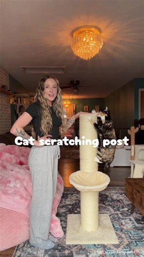 The Ultimate Cat Scratching Post Review