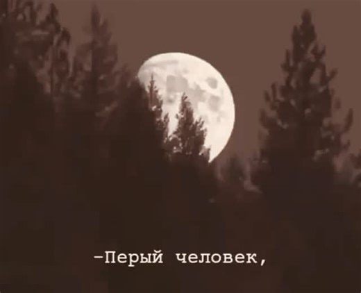 ЦИТАТЫ•ЖИЗНЬ on Instagram