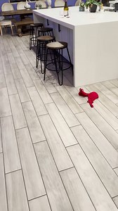 793K views · 1.7K reactions | Catching my cheating wife!   This video was produced by Network Media and Taylor Watson | Lights Camera Action | Facebook