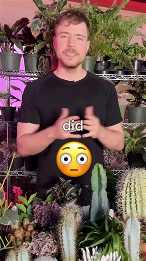 Original image fake cake #funny ‪@MrBeast‬ ‪@cardib‬ ‪@AlalVloginf‬