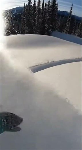 Snowboard White Room Powder Explosion