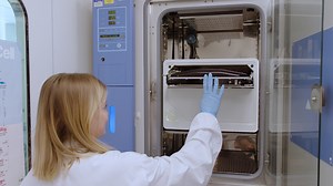 Live-3D-Cell Immunocytochemistry Assays of Pediatric Diffuse Midline Glioma