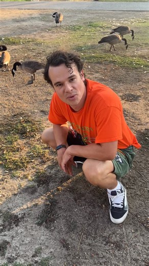 Spencer Goldman | Unsubscribe from bird facts | Instagram