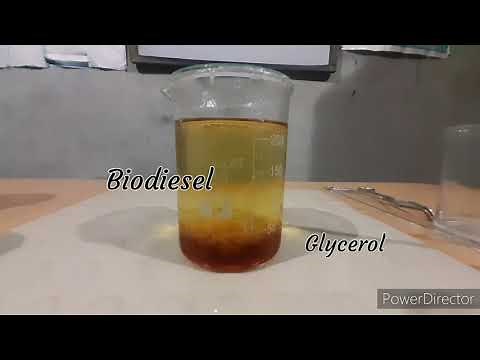 How to make biodiesel