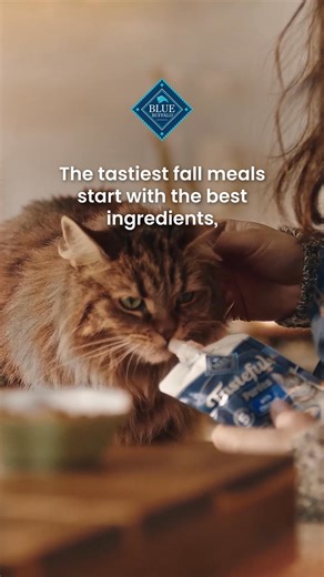 85K views | Create custom fall recipes for your cat with BLUE Tastefuls! | Blue Buffalo | Facebook