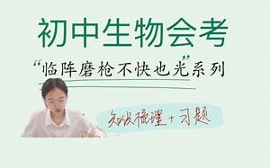 unit4 生物圈中的人 手把手带你知识梳理+习题