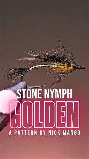 Frank Brassard on Instagram: "Golden Stone Nymph A pattern by Nick Mango @nickmangoflies #flytying #flyfishing #catchandrelease #troutbum #flytyingaddict #pescaconmosca #flyfishingnation #troutfishing #flytyingjunkie #browntrout #atadodemoscas #flugfiske #flugbindning #outdoors"