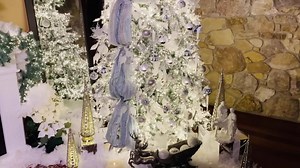 16K views · 530 reactions | It’s finally here, the Pretty as a Party...