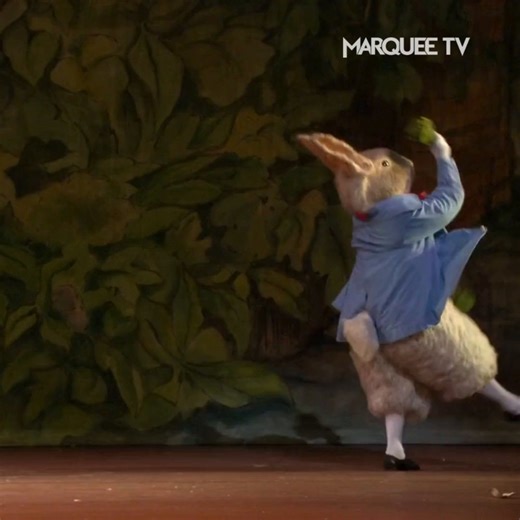 Which Beatrix Potter character are you choosing first🐰🐸🐿️🦊🐷🐭🐻🦆 "Frederick Ashton’s Tales of Beatrix Potter" brings The Royal Ballet into a world of nostalgia and storybook charm, with dancers transformed into Beatrix Potter’s beloved characters through Ashton’s playful choreography and Christine Edzard’s thoughtful designs. Set to Victorian and Edwardian melodies, it’s a ballet with a cosy, familiar warmth. Available to watch on Marquee TV👉 https://www.marquee.tv/videos/royaloperahouse-