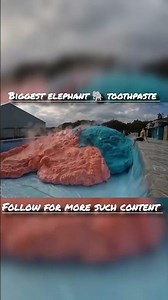 Crazy Elephant 🐘 toothpaste Experiment 🥼 #mrbeast #viral #trend #shorts