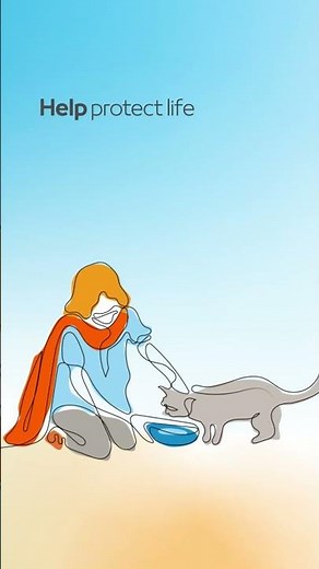 World Environment Day 2023