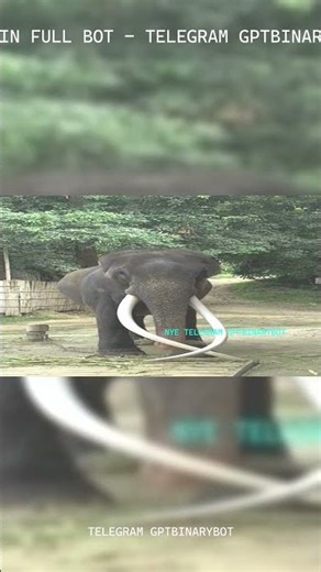 BINARY OPTIONS ROBOT SCAMS 2025 - Gomere BOT, OnBroker BOT, Iseven BOT #shorts