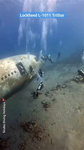 Dive into history with this incredible underwater exploration of the Lockheed L-1011 Tristar wreck. Once a majestic aircraft, now an artificial reef teeming with marine life, this sunken plane offers a surreal diving experience like no other. 📍 Dive Site: Aqaba, Jordan 🌊 Depth: Approx. 15–28 meters 🤿 Open to advanced divers #wreckdiving #lockheed #UnderwaterWorld #ScubaDiving #RedSea #Aqaba #tristar #diveadventure #UnderwaterExploration | Scuba Diving Holidays