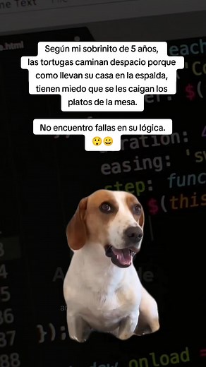 11K views · 277 reactions | #Meme #andercode #developer #programacion #python #novia #humor #esposa | AnderCode | Facebook