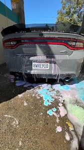 Hellcat gender reveal 🤣 #hellcat #butteryfilms #tricks | Buttery Films