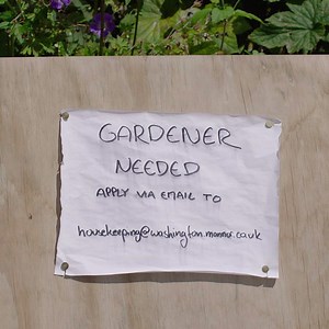 49K views · 47 reactions | Introducing new Foolproof Brow Powder... a powder so easy to use there's no professional help required! | Benefit Cosmetics | Facebook