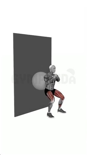 Wall Sit - Perfect Form Guide #shorts