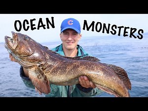 Catching GIANT Lingcod With Live Bait (Vancouver Island)