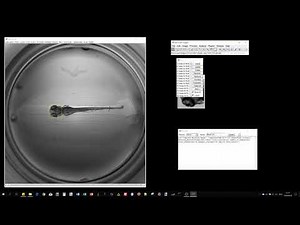 1.Multi-Template-Matching in Fiji : Installation and single detections