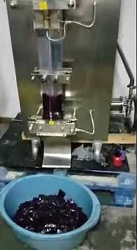 Sachet filling machine