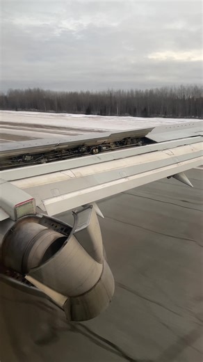 Thrust Reversers Demonstrated During Plane Landing