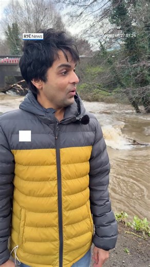 RTÉ News | A life-sized statue of a rhino that stands on a plinth in the River Dodder next to The Dropping Well pub in Milltown in Dublin has been... | Instagram