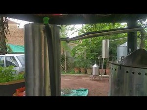Essential Oil extraction by steam distillation