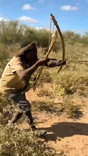 O tigre veio buscar sua presa na rocha 🐅🎯🐅🎯 جاء النمر ليأخذ فريسته من فوق الصخرة