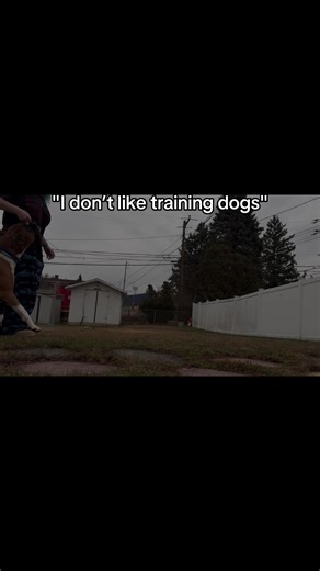 Effective Dog Training Tips for Boxer Breed