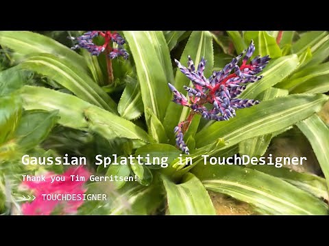 Finally, Gaussian Splatting in TouchDesigner!