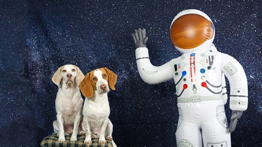 Dogs' adventure in space with an astronaut and mini me