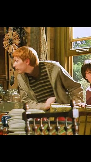 Where Have You Been Harry Potter? - Best Moments Compilation