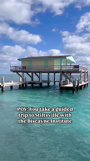 Have you ever been to Stiltsville? 👀 Join us on a guided tour to visit this historic village on the bay! Departing from the Dinner Key Marina in @coconutgrovemiami, we’ll glide across the turquoise waters of the bay and explore the vibrant history of this community, and learn more about the efforts made to preserve it. Keep your eyes out for Dolphins, Manatees, and other wildlife! Visit us at Biscaynationalparkinstitute.org and book your Stiltsville trip today | Biscayne National Park Institute