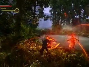 The Witcher 2 Combat Overview 1