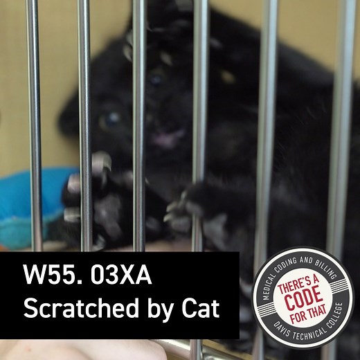 Halloween is all fun and games until..you end up at the doctor's office. Don't worry, Medical Coding and Billing has a code for that. #medicalcodingandbilling #davistech #medicalcoder | Davis Technical College