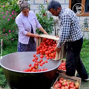 34M views · 757K reactions | Harvesting fresh tomatoes and onions from the garden and cooking delicious dishes  | Taste Life | Facebook
