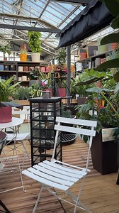 Grande, resistente y con hojas brillantes el ficus robusta que hacen que cualquier rincón se vea increíble. Además, es fácil de cuidar y crece que da gusto. 😉💚 #FicusRobusta #PlantaDelMes | Casaplanta Vigo