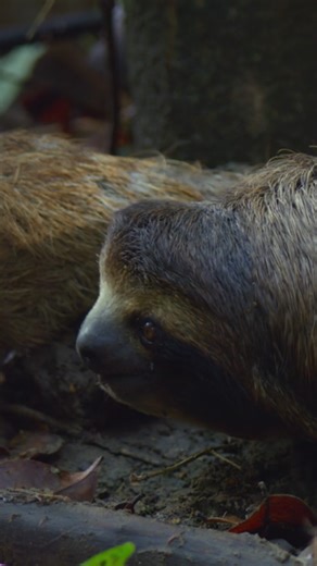 Embracing Normalcy in Daily Life