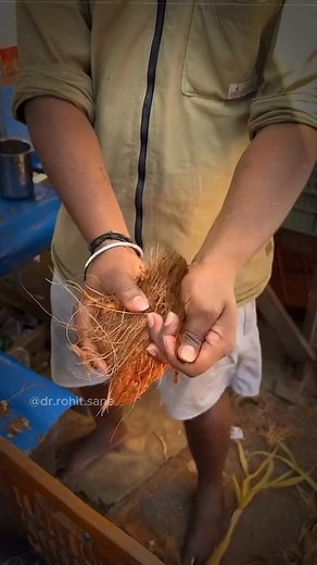 From nut to nature’s miracle — the sprouted coconut is pure life energy in a shell! 🥥✨ Boost your immunity, glow naturally, and taste wellness in every bite. #SproutedCoconut #NaturalSuperfood #HealthyLiving #AyurvedicHealing #CoconutPower #NatureWellness #OrganicLife #GlowFromWithin #ImmunityBoost #SuperfoodIndia | Dr. Rohit Sane