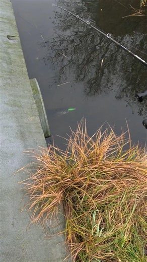 Snoek uit de buis #fishing