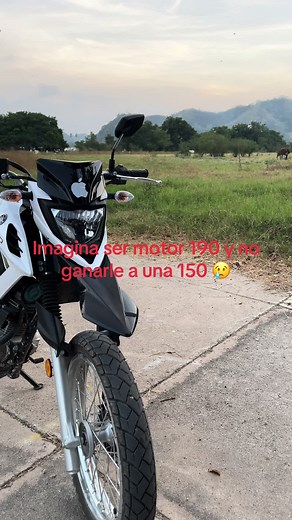 Kevin Alexis on TikTok