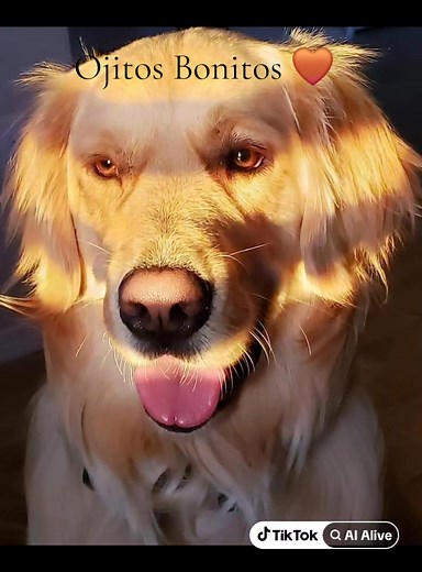 Portillo Patsy on Reels | Facebook