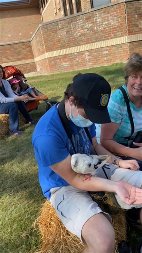 Soar into HawkFest! Live raptors, family fun, expert talks, crafts, food & more—all at Lake Erie Metropark this fall. | Huron-Clinton Metroparks