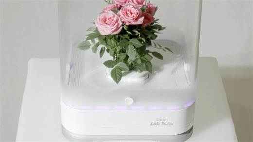 6K views · 19 reactions | Discover BLOOM: the Interstellar Lab new...