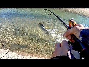 Houston's Best Kept Fishing Secret