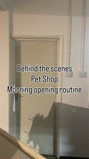 Creature Comforts Harpenden on Instagram: "Come with us for a behind the scenes look at our morning routine as we prepare Creature Comforts Pet Shop for another busy week! From restocking shelves and checking deliveries to making sure everything is perfect for you and your pets 🐶🐱 As your local pet shop, we’re proud to offer quality pet supplies, friendly advice, and everything you need to keep your pets happy, healthy, and comfortable."