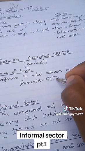 Grade 12 Economic Geography: Beef Production and Informal Sector Insights