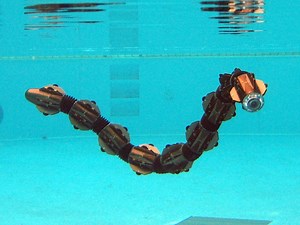 HiBot demos new amphibious snake robot
