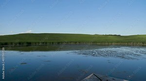 Scenic Video of a Beautiful Swamp Slough with Tall Cattail Reeds and Blue Water – Serene Wetland Landscape and Tranquil Marsh with Lush Vegetation and Aquatic Plants