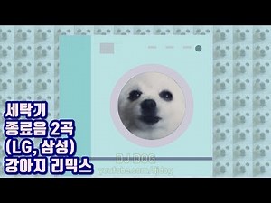Washing Machine Song (LG, SAMSUNG) Gabe the Dog Remix
